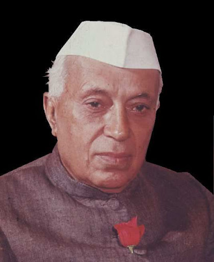 Nehru’s Red Rose ~ Maddy's Ramblings